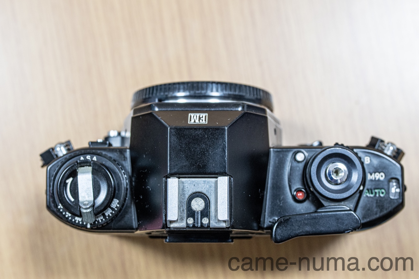 知識ゼロから始めるEM生活 | カメヌマ