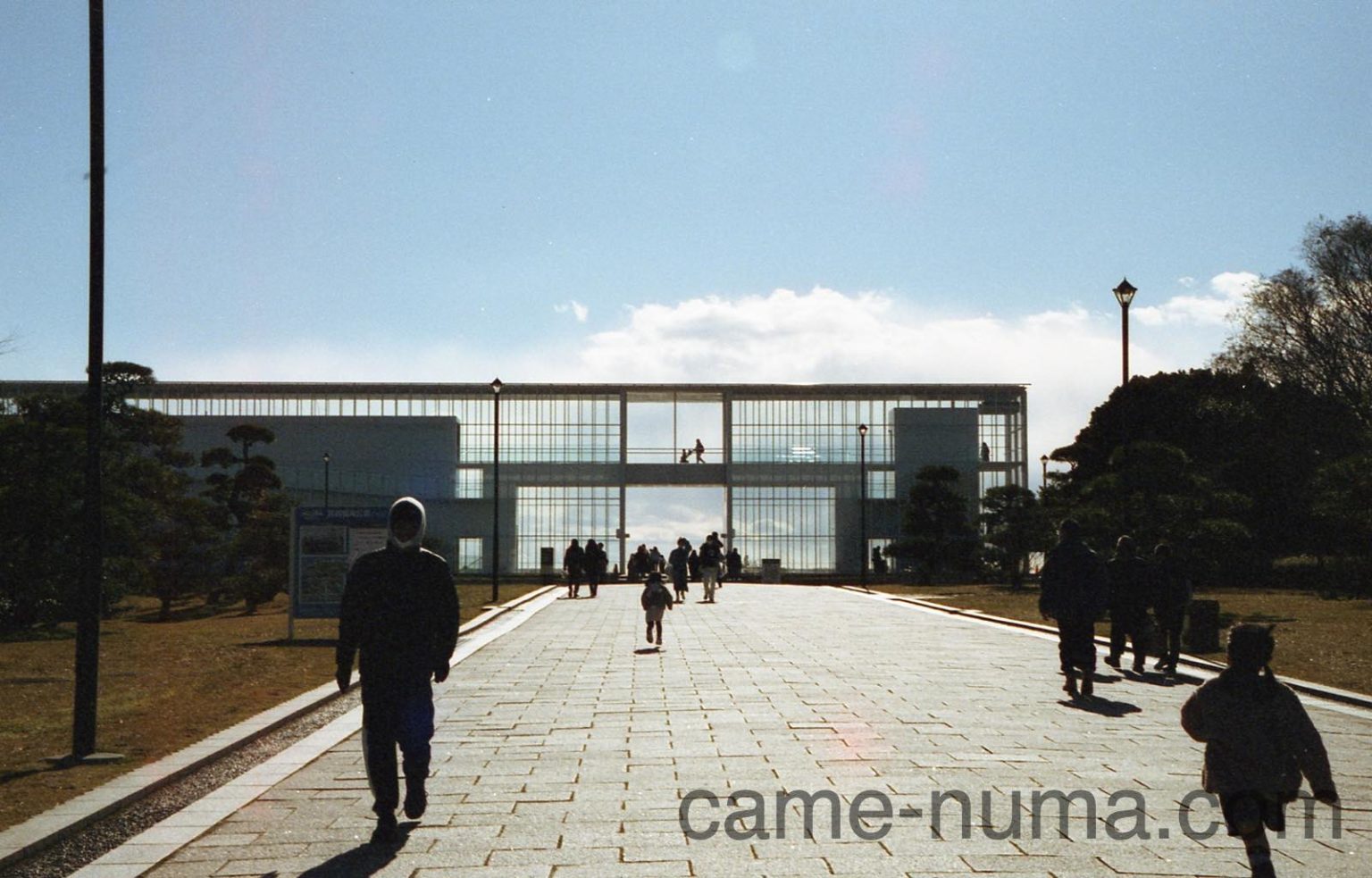 新登場カラーネガフィルムMarix 400D使ってみた。フィルム枯渇時代の救世主となるか？ | カメヌマ