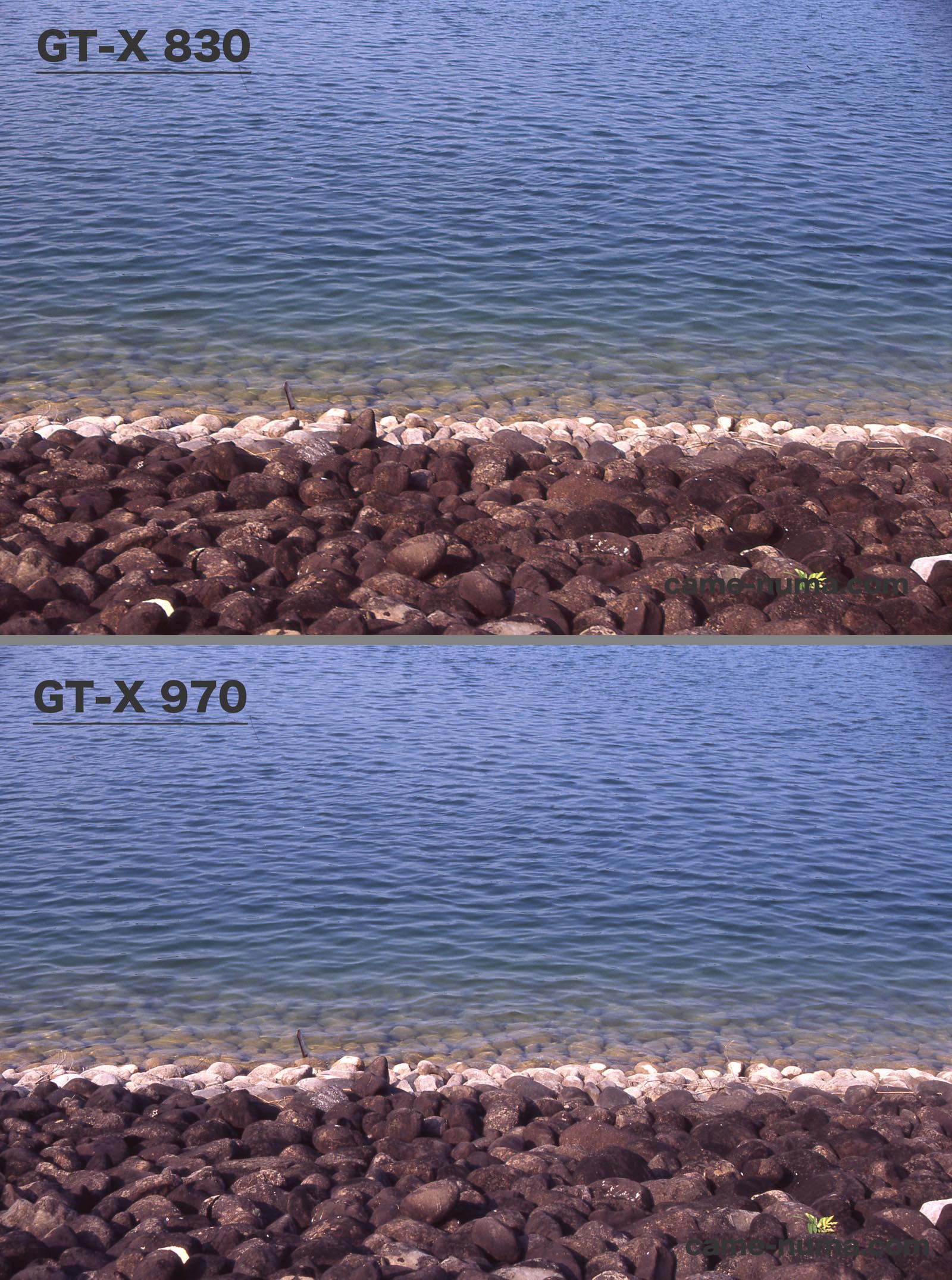 EPSONフィルムスキャナー比較GT-X970とGT-X830 | カメヌマ