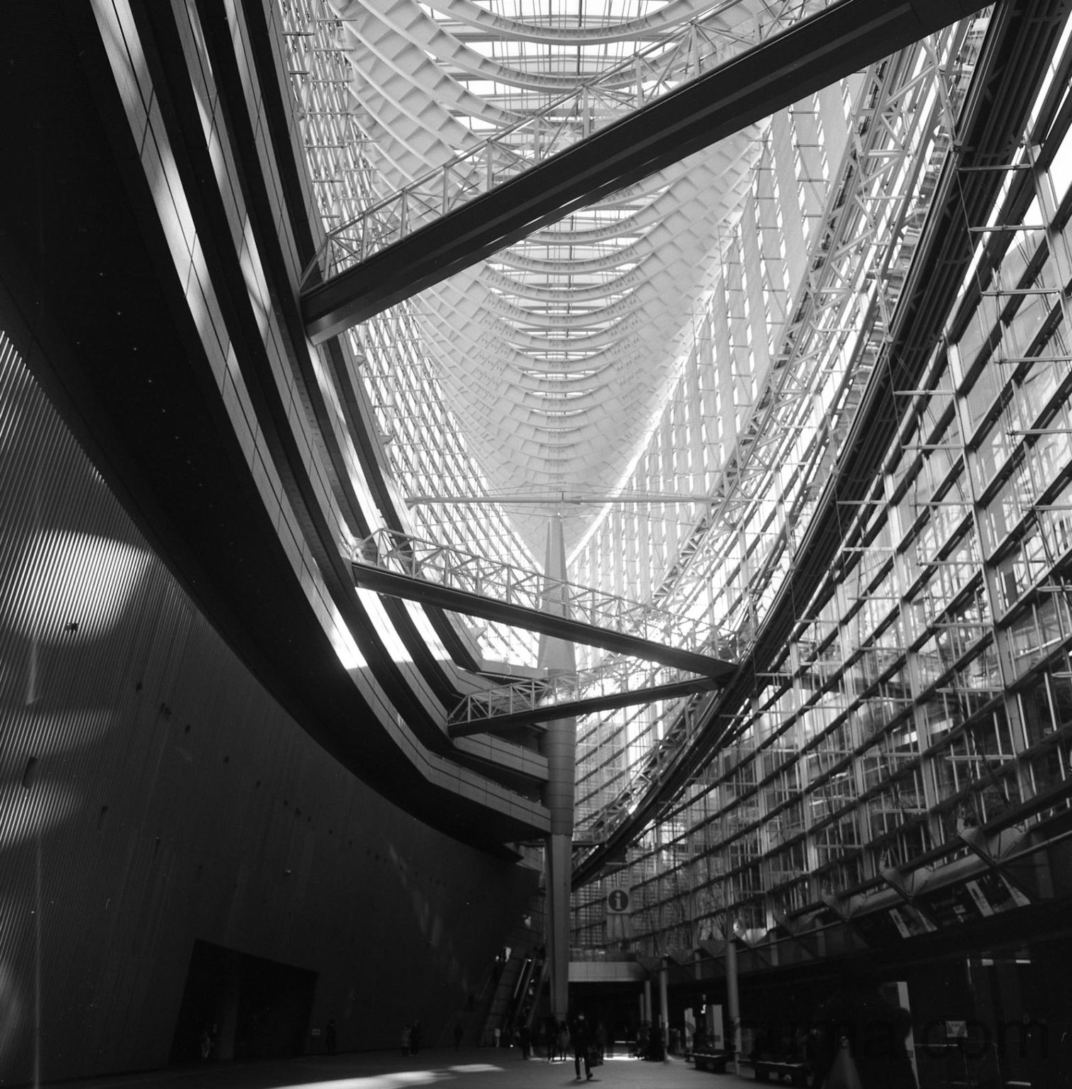 中判広角レンズMamiya Sekor 55mm F4.5 (MAMIYAFLEX C)レビュー | カメヌマ